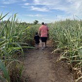 ORR FAMILY FARM - Updated October 2025 - 214 Photos & 81 Reviews ...