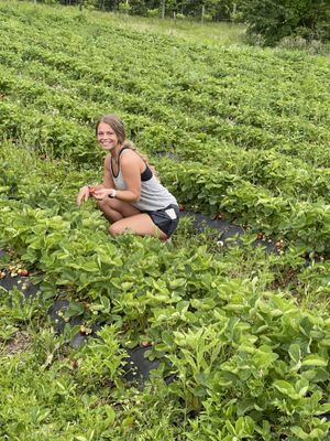 SUNSET BERRY FARM - Updated January 2026 - 54 Photos - 791 Sunset ...