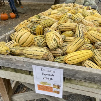 STYER ORCHARD - Updated January 2026 - 90 Photos & 60 Reviews - 97 ...