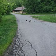 SCOUT LAKE PARK - 21 Photos - 5902 West Loomis Rd, Greendale, WI - Yelp