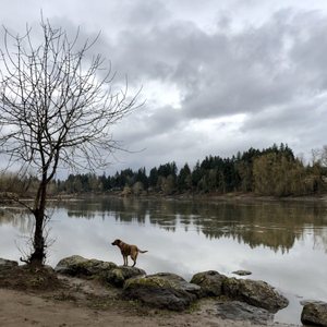 HAZELIA FIELD DOG PARK - 89 Photos & 54 Reviews - 17800 Stafford Rd ...