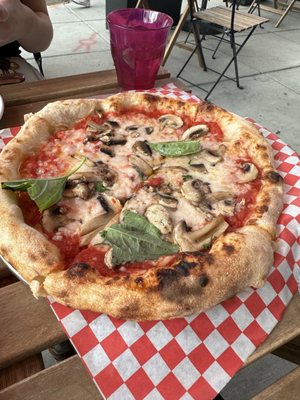 LUCY BAR - Updated May 2024 - 37 Photos & 39 Reviews - 1350 Florida Ave ...