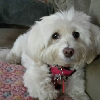 FRIENDS OF HOMELESS ANIMALS - Updated January 2026 - 17 Photos & 78 ...