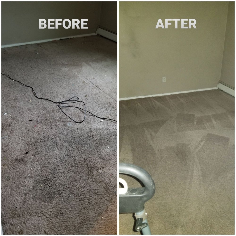 1ST CLASS CARPET CARE - Updated February 2025 - Request a Quote - 42 ...
