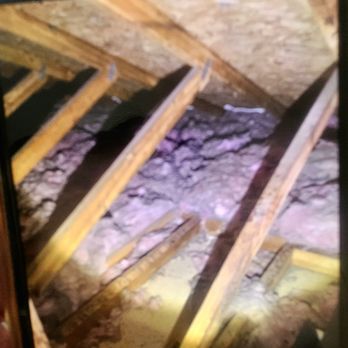 CONREX PROPERTY MANAGEMENT - Updated December 2025 - 161 Photos & 54 ...