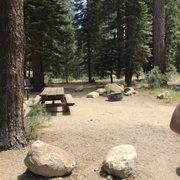 FALLEN LEAF CAMPGROUND - 515 Photos & 138 Reviews - Campgrounds - 2165 ...