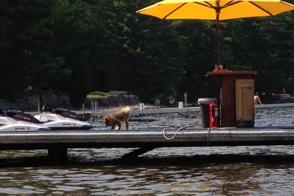 LONG BEACH MARINA - Updated December 2025 - 19 Photos & 16 Reviews - 81 ...