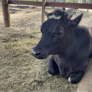 RAWHIDE RANCH - Updated December 2025 - 74 Photos & 38 Reviews - 6987 W ...