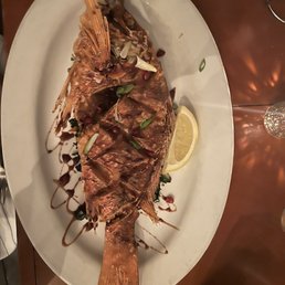 TEMPEST OYSTER BAR - Updated May 2026 - 569 Photos & 448 Reviews - 120 ...
