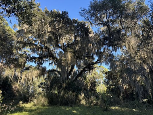 HARRIS NECK NATIONAL WILDLIFE REFUGE - Updated October 2025 - 79 Photos ...