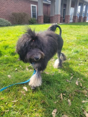 REID VETERINARY HOSPITAL - Updated December 2025 - 35 Reviews - 933 ...