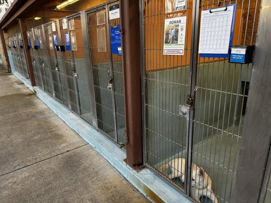 IRVINE ANIMAL CARE CENTER - Updated April 2025 - 245 Photos & 239 ...
