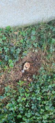 Tom Drexler - Updated January 2026 - 63 Photos - 225 Reviews - 3718 ...