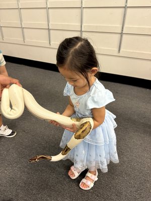 REPTILE RON ANIMAL PRESENTATIONS - Updated December 2025 - 44 Photos ...