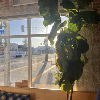 SINGING SUN COFFEE - Updated May 2024 - 461 Photos & 134 Reviews - 1930 ...