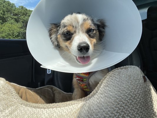 SPAY NOW - Updated January 2026 - 26 Reviews - 125 Pullman Crossing Rd ...