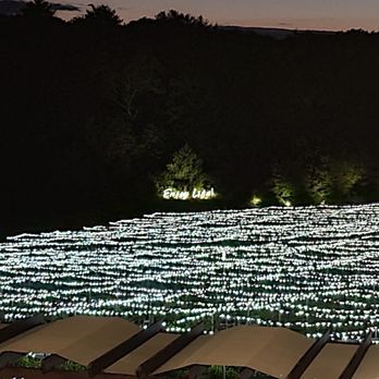 BLUE RIDGE ESTATE VINEYARD & WINERY - Updated October 2025 - 600 Photos ...