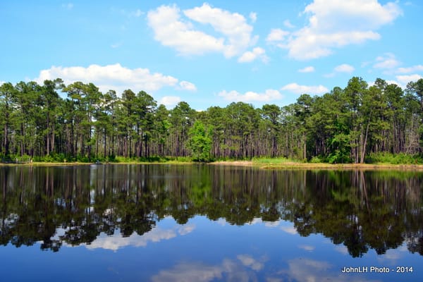 DESOTO NATIONAL FOREST - AIERY LAKE RECREATION AREA - Updated May 2026 ...