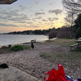 BAYVIEW DOG BEACH - Updated December 2025 - 88 Photos & 58 Reviews ...