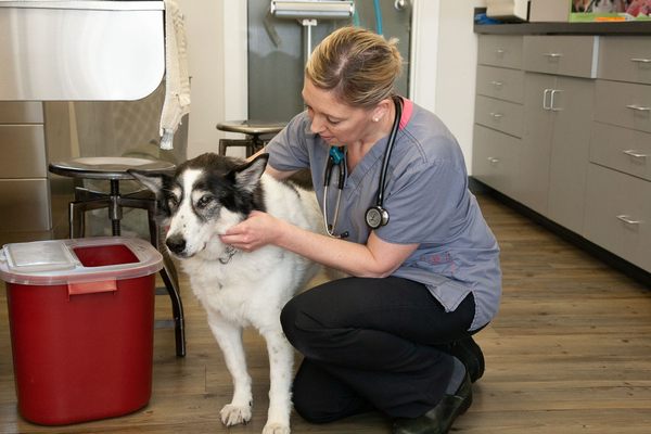 NEWTON ANIMAL HOSPITAL - Updated October 2025 - 22 Photos & 98 Reviews ...