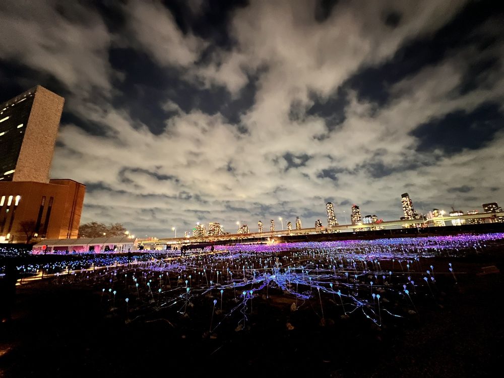 FIELD OF LIGHT AT FREEDOM PLAZA - Updated April 2026 - 62 Photos & 12 ...