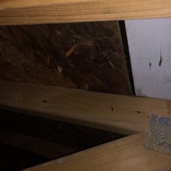 FINDLAY ROOFING - 29 Photos & 83 Reviews - 4181 Jvl Industrial Park Dr ...