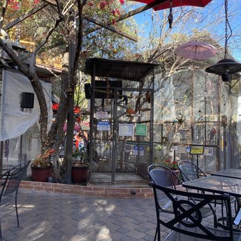 THE PERCH BREWERY - 1504 Photos & 1555 Reviews - 232 S Wall St ...