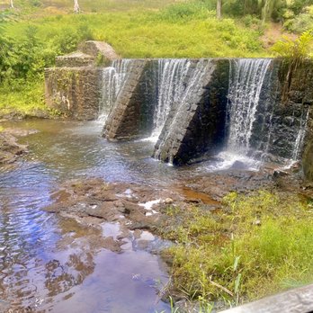 WAI KOA LOOP TRAIL - Updated October 2025 - 180 Photos & 42 Reviews - 5 ...