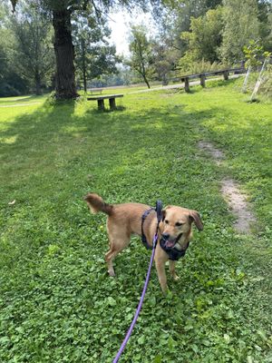 ELLISON PARK - Updated January 2026 - 74 Photos & 29 Reviews - 395 ...