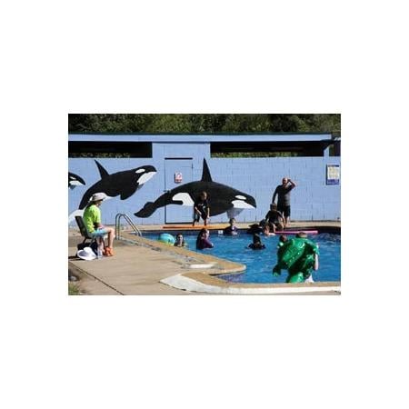 LICOLA WILDERNESS VILLAGE - Updated April 2024 - Jamieson Rd, Licola ...