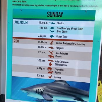 ABQ BIOPARK AQUARIUM - Updated August 2025 - 425 Photos & 124 Reviews ...