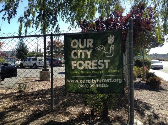 OUR CITY FOREST - Updated May 2026 - 14 Photos & 22 Reviews - 1195 ...
