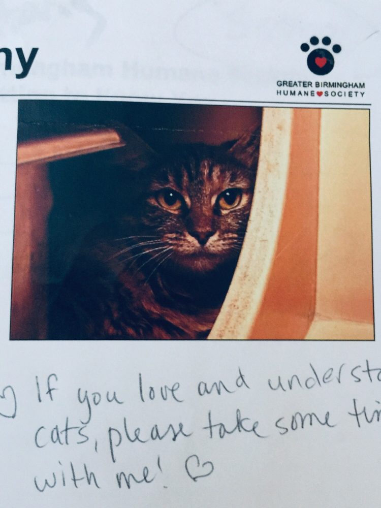 GREATER BIRMINGHAM HUMANE SOCIETY - Updated May 2024 - 50 Photos & 33 ...