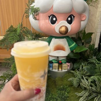 MOLLY TEA - Updated March 2025 - 1610 Photos & 857 Reviews - 605 E El ...