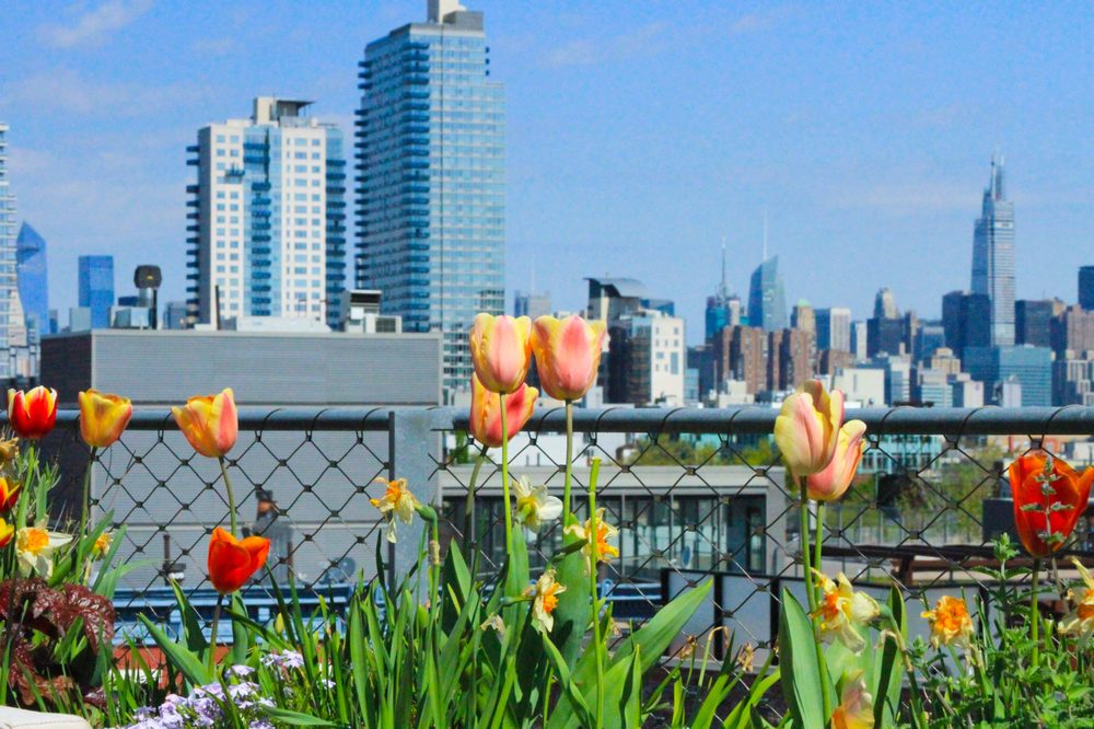 OUTSIDE SPACE NYC - Updated October 2025 - 64 Photos - 68 Jay St ...