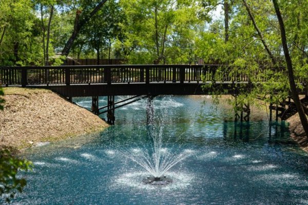 THE BRIDGE AT LAKE HOUSTON EVENTS - Updated October 2025 - 42 Photos ...