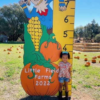 LITTLE FIELD FARMS - Updated January 2026 - 31 Photos & 16 Real Reviews ...