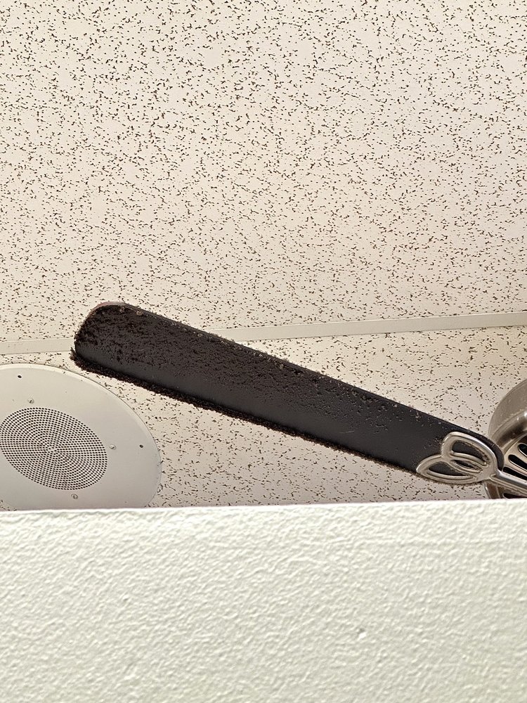 TAN DALLAS - Updated October 2025 - 36 Photos & 137 Reviews - 5400 E ...