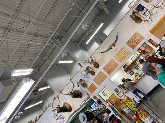 SPORTSMAN’S WAREHOUSE - 71 Photos & 71 Reviews - Outdoor Gear - 3306 ...