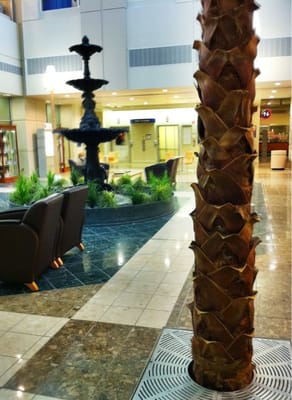 IU HEALTH METHODIST HOSPITAL - Updated January 2025 - 43 Photos & 95 ...