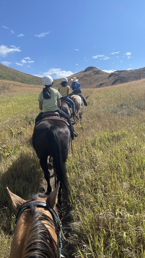 SUN VALLEY STABLES - Updated December 2025 - 12 Photos - 1 Sun Valley ...