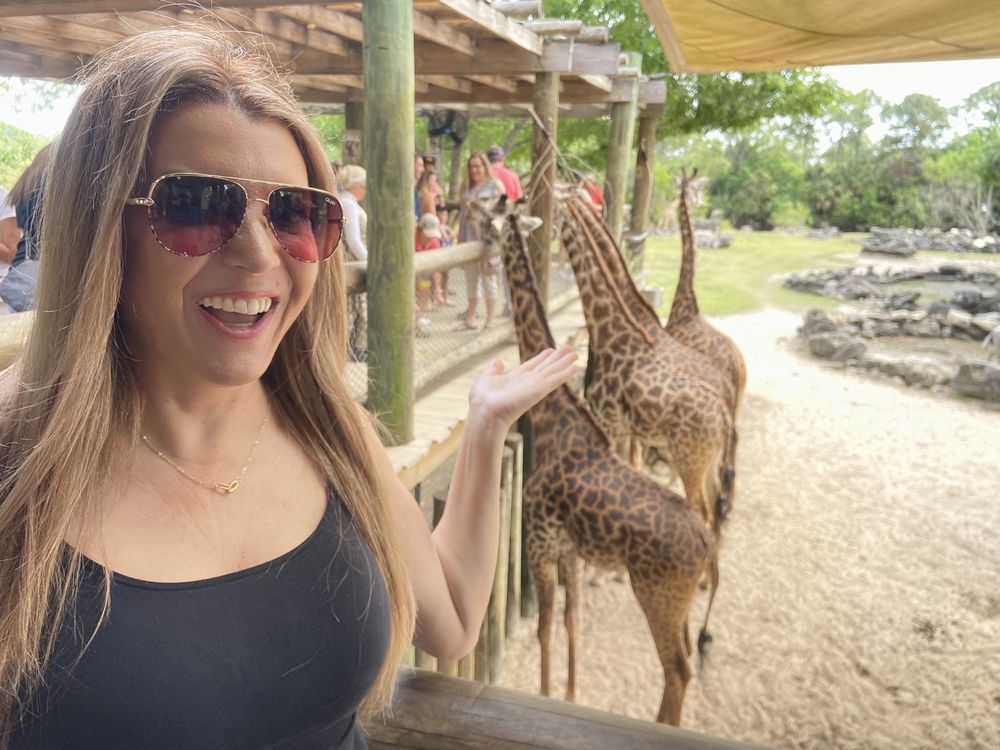 COUNTRYSIDE HIGH SCHOOL - Updated May 2025 - 3000 State Road 580 ...