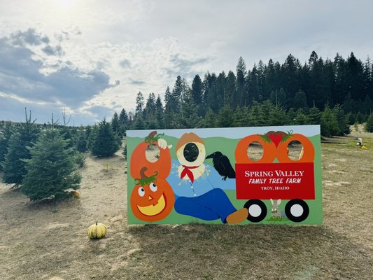 SPRING VALLEY TREE FARM - Updated July 2025 - 1039 Spring Valley Rd ...