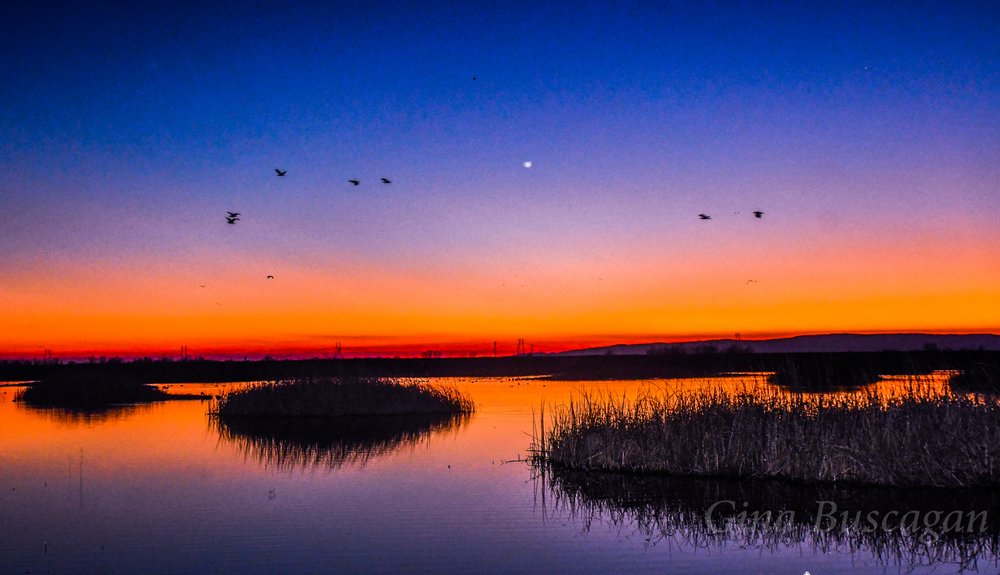 YOLO BASIN FOUNDATION - 27 Photos & 10 Reviews - 45211 County Rd 32B ...