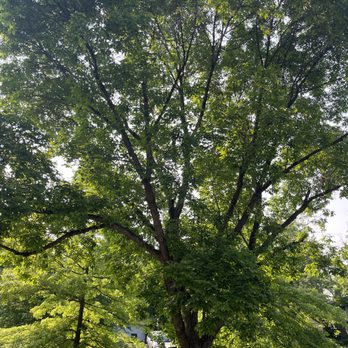 FORREST LYTLE - Updated September 2025 - 14 Photos - 205 Smalley Rd ...