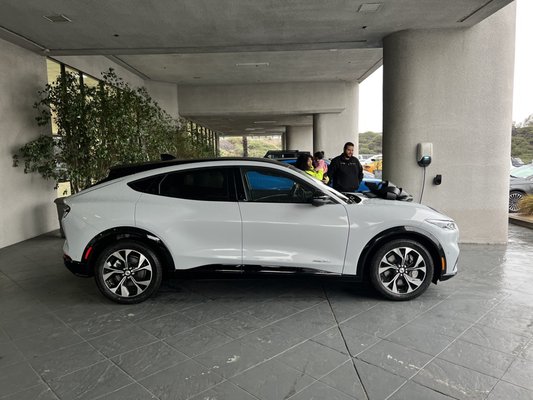 CITRUS MOTORS - Updated December 2025 - 200 Photos & 807 Reviews - 1375 ...