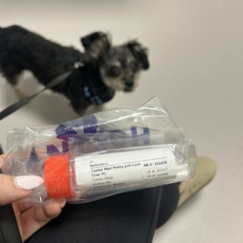 LOVE ANIMAL HOSPITAL AND URGENT CARE - Updated December 2024 - 22 ...