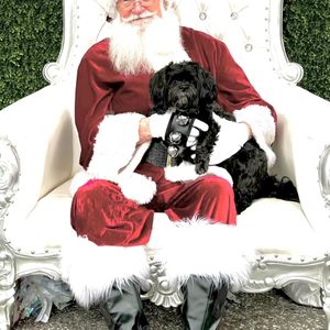 PETS R FAMILY VETERINARY HOSPITAL - Updated December 2025 - 117 Photos ...