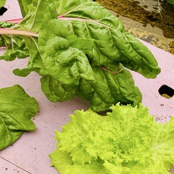 FAT BEET FARM - Updated March 2025 - 276 Photos & 143 Reviews - 13830 W ...