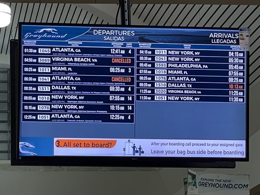 GREYHOUND BUS LINES - Updated January 2025 - 53 Photos & 140 Reviews ...